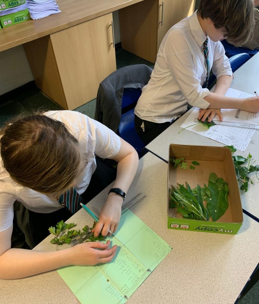 Year 9 Statistics data collection – Sharples School